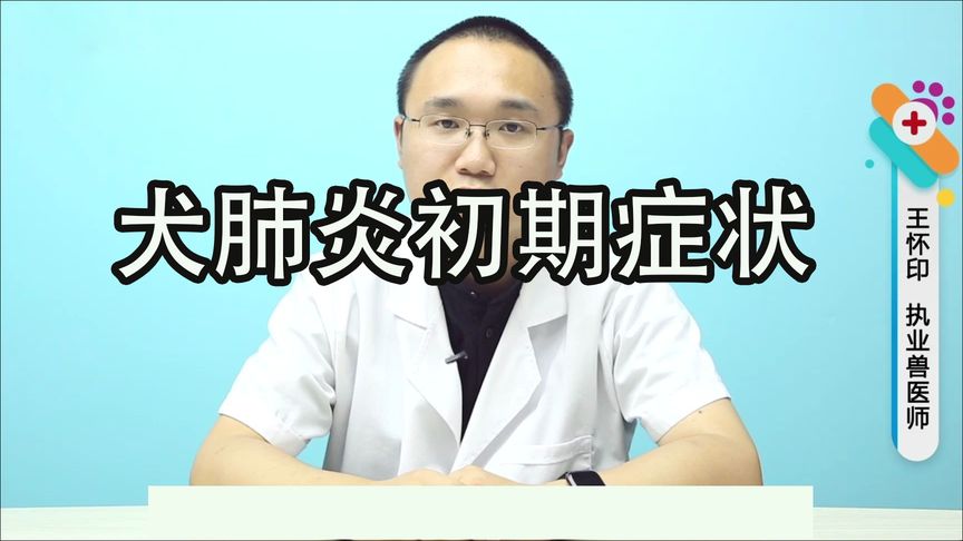 犬肺炎初期症状