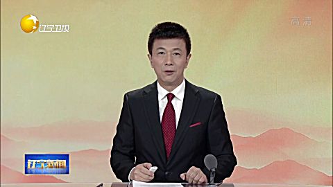 ...十三届全国人大一次会议举行代表团全体会议 审查计划报告和预算报告