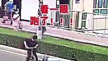 逆行自行车肇事逃逸
