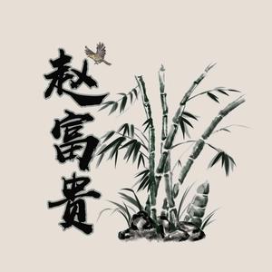 懂点历史赵富贵 