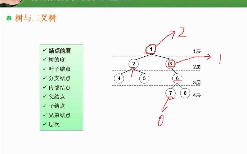 7.09 树与二叉树的基本概念