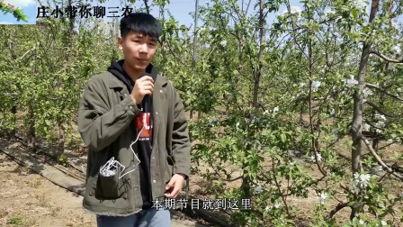 如何预防苹果的病虫害怎么去使用农药。