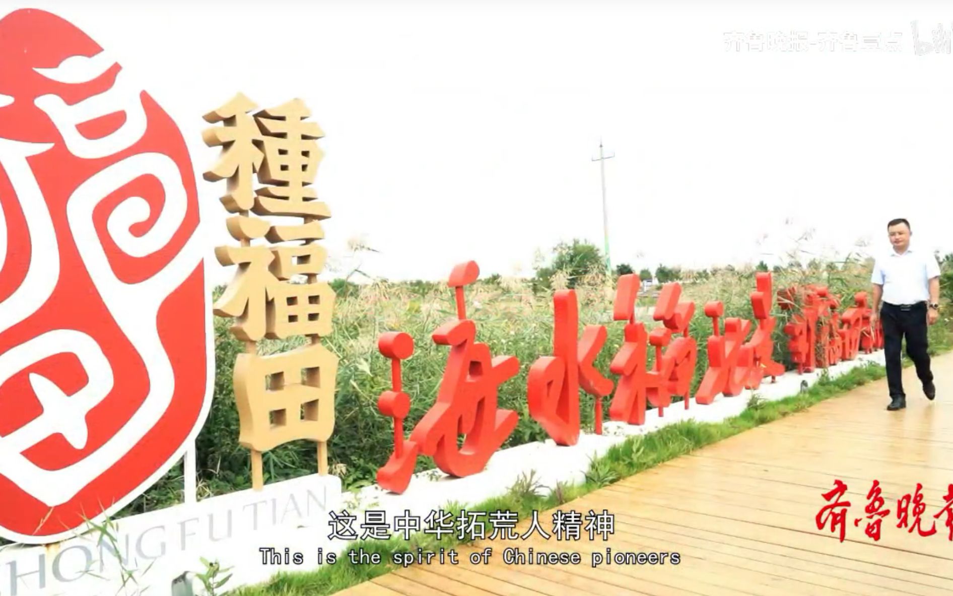 我在山东“种福田”,让海水稻产业造福于人!