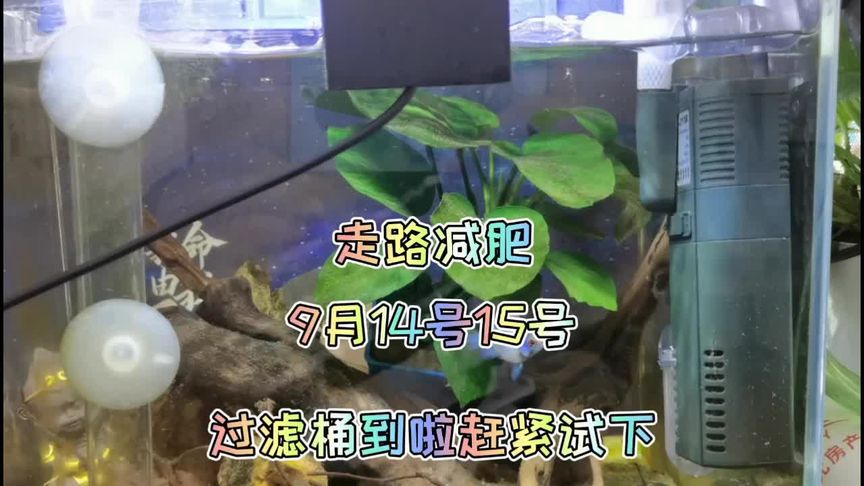 不错,过滤桶到啦,这东西方便