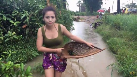 柬埔寨媳妇下河用撮箕收获了很多的大鱼