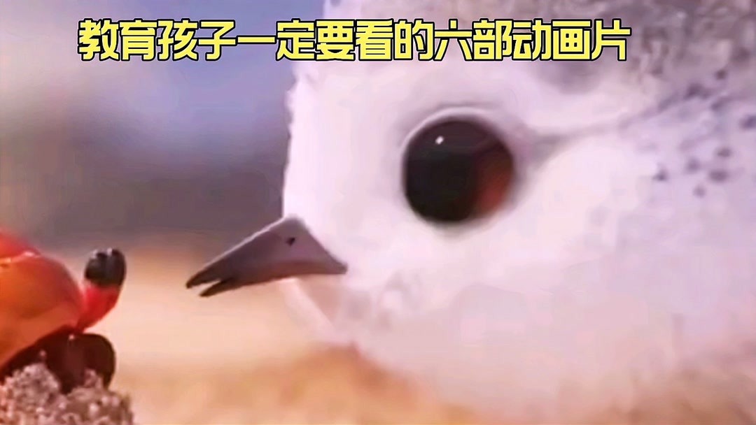 适合教育孩子该看的6部动画片,陪伴孩子的成长!