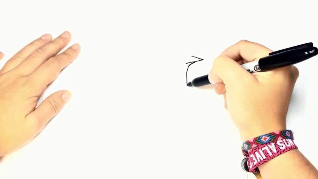 P-12儿童绘画.画鸟.简笔画