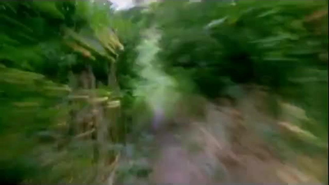 如何练好钢笔字视频 99天钢笔字速成 钢笔字行书写法