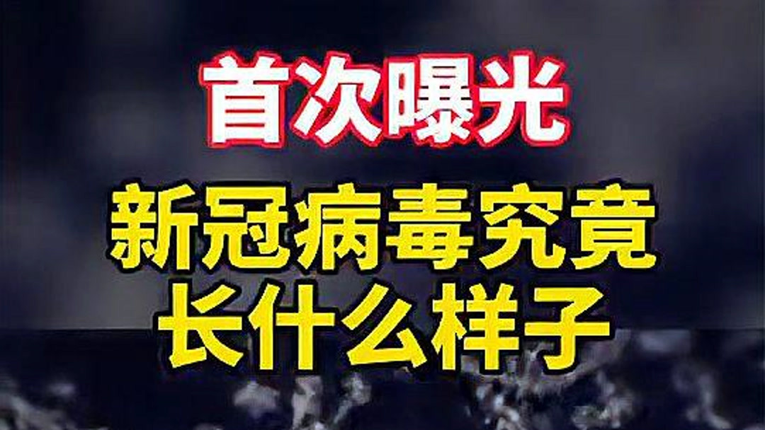 新冠病毒究竟长什么样?首个3D图像曝光