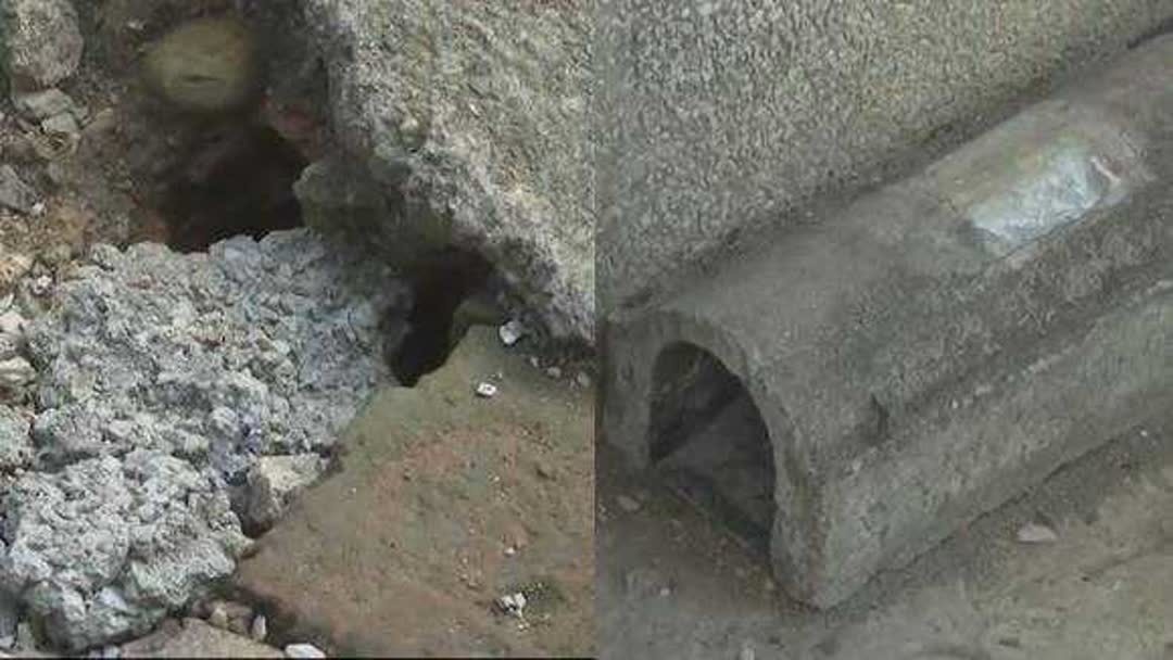 柳州一小区老鼠成灾,垃圾桶内满是老鼠,疯狂打洞致地面被挖塌陷