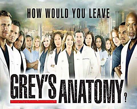 《实习医生格蕾》新一季主角片酬爆表,艾伦旁派单集豪取2000美金