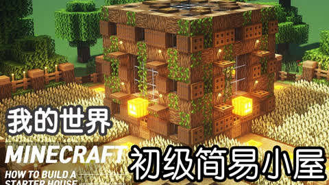 如何建造一座初级简易小屋 56【我的世界】