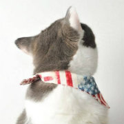 每天想睡13小时 