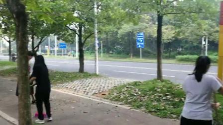 志愿者社会实践活动视频2