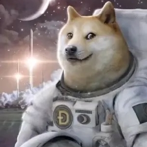 一只太空doge 