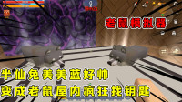 迷你世界你做半仙玩系列 第2963集 老鼠模拟器,半仙兔美美蓝好帅化身...