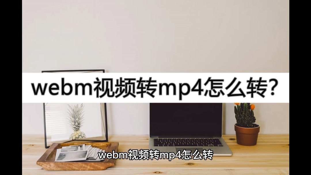 webm视频转mp4怎么转?视频格式转换教学