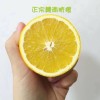 柠檬灬花扣 