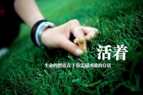 VV谈天说地 