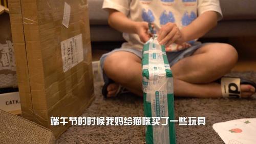 六月猫咪开销统计 猫薄荷的PARTY 2分02秒高能#激萌奖金计划#