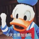 赫的不二 