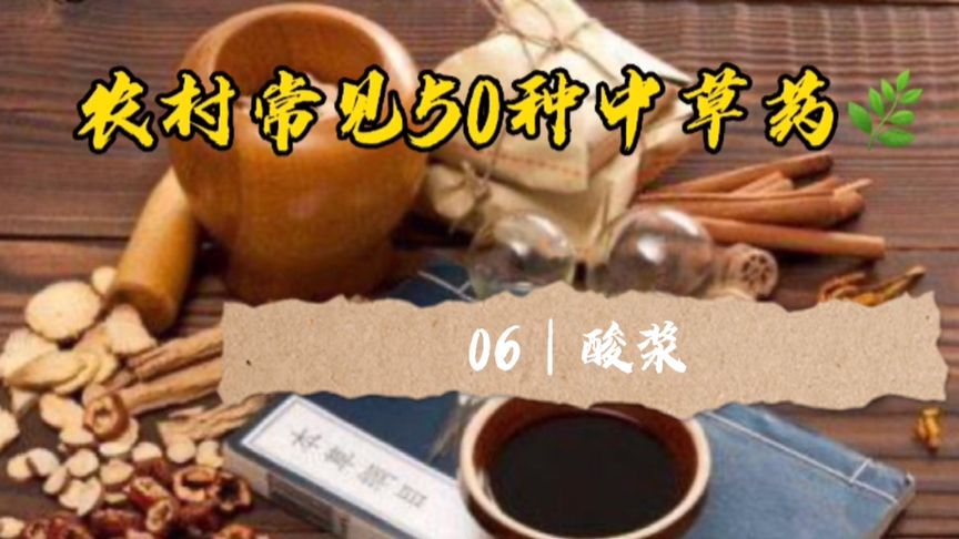 50种农村常见中草药@中草药