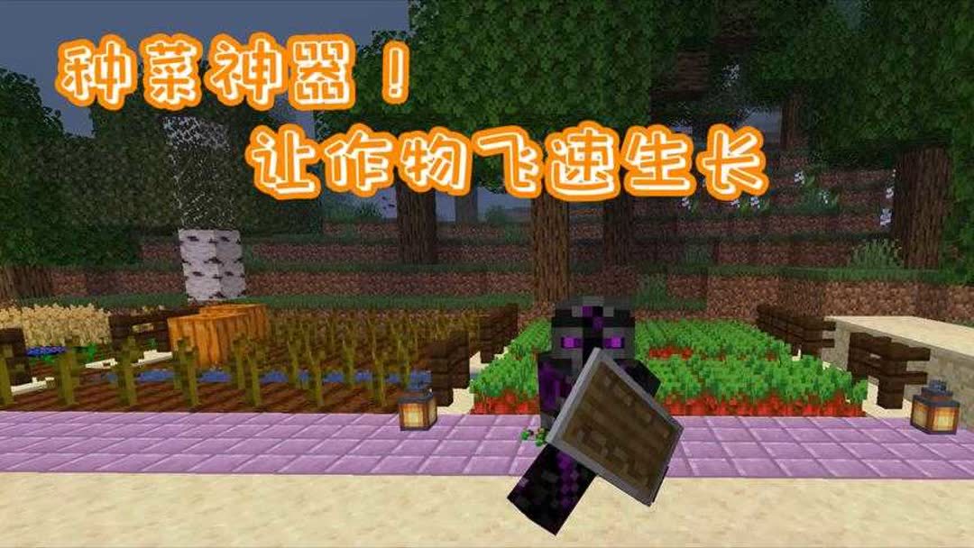 爆笑我的世界,史蒂夫手拿烧鸡种田,有了种菜神器神马都是浮云