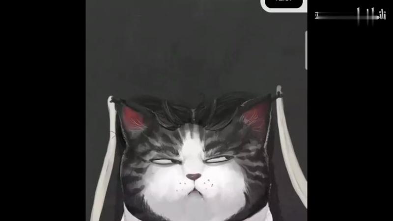 教你如何在微信视频聊天中,查看聊天中的视频!