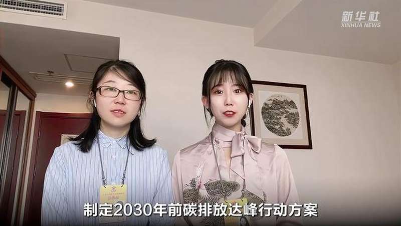 “黄豆”看两会:碳中和要火,我们带您一“碳”究竟