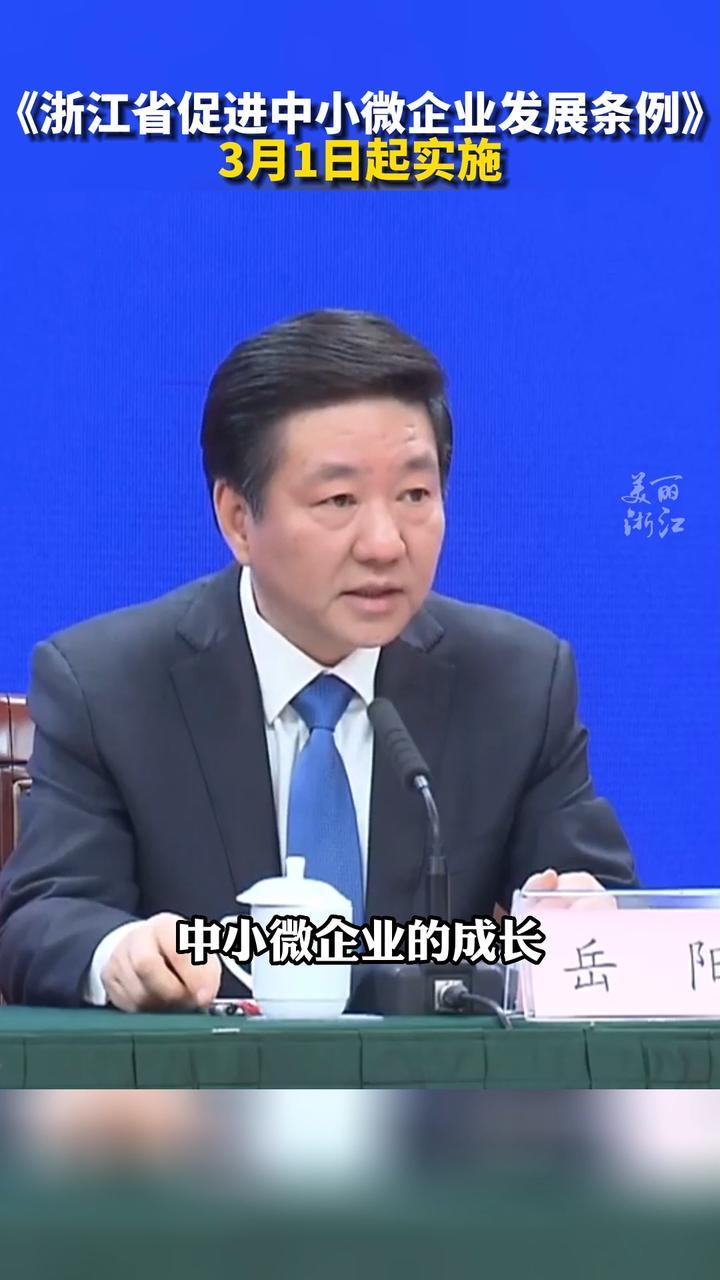 《浙江省促进中小微企业发展条例》3月1日起实施!"要提高...