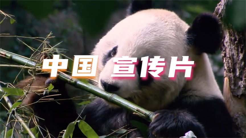 美丽中国丨中国宣传片丨中国形象