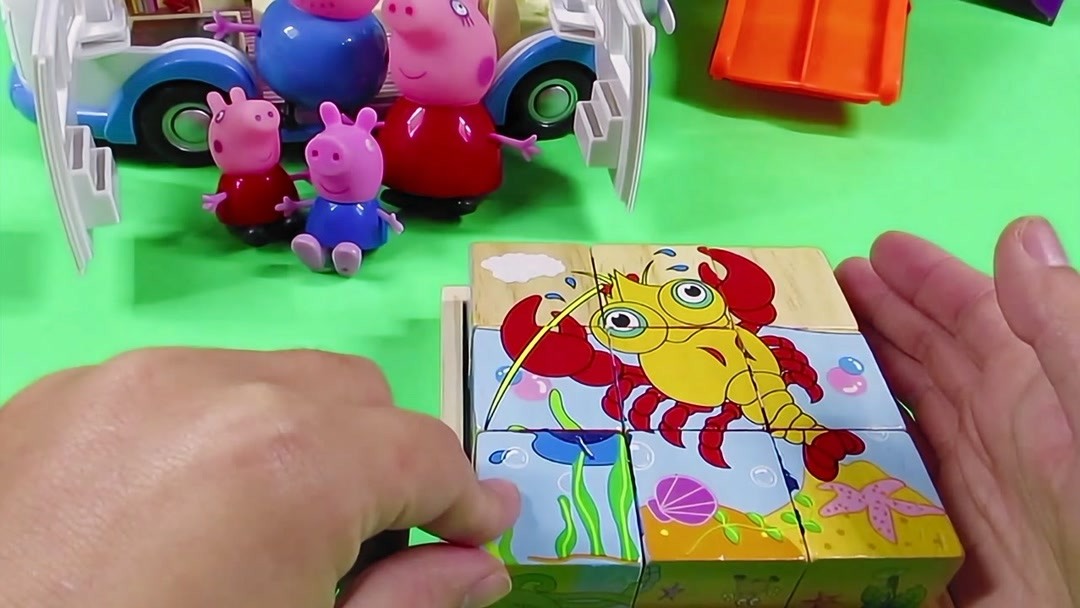 海洋小动物拼图