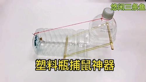 用塑料瓶做成的捕鼠神器,简单又适用,快来看看如何抓到的老鼠