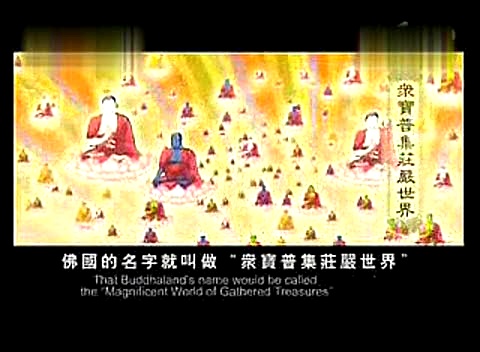 佛教惊人真实故事 视频