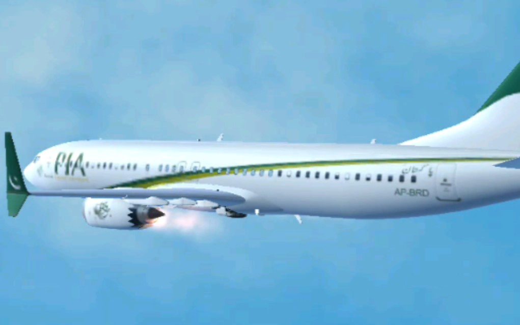 模拟飞行737 全部涂装展示