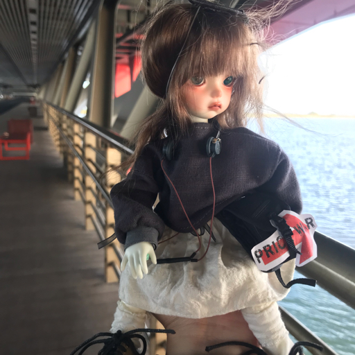 猬猬酱的小阁楼 