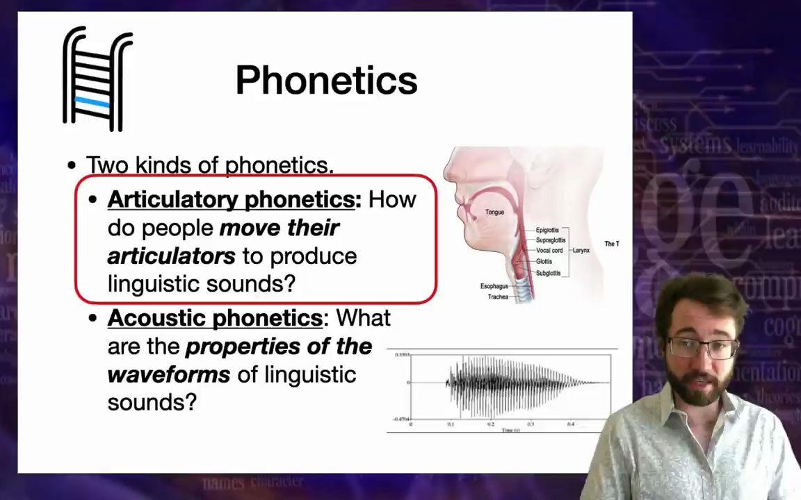 加利福利亚大学-语言学第三讲:语音学 1|Language Science-Linguistics:...
