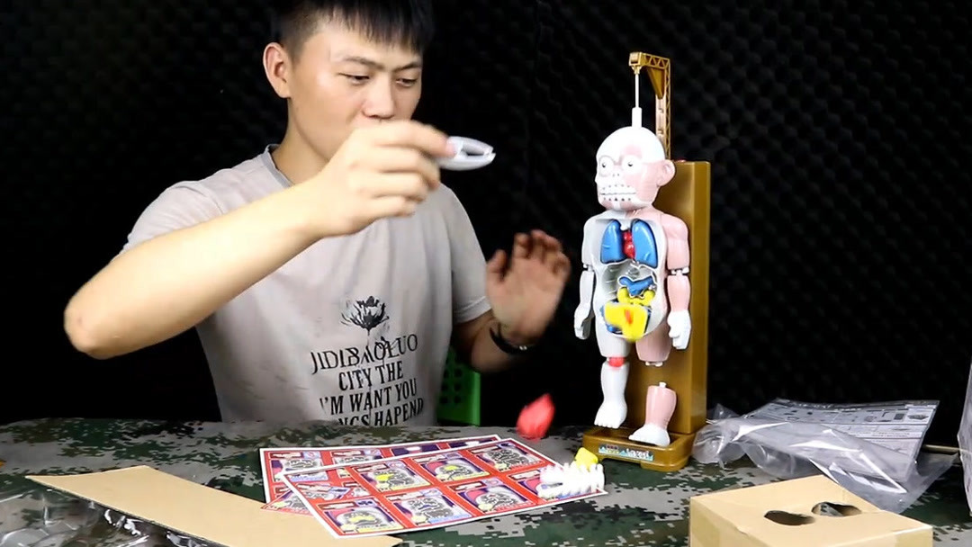 拆箱测评人体模型玩具,一不小心人体模型全散了
