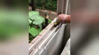 君晓天云塑钢门窗清洁剂擦玻璃水铝合金塑钢窗户窗框强力去污翻新...