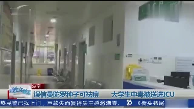 中毒被送进ICU!误信曼陀罗种子可祛痘 大学生网购直接塞嘴里吃