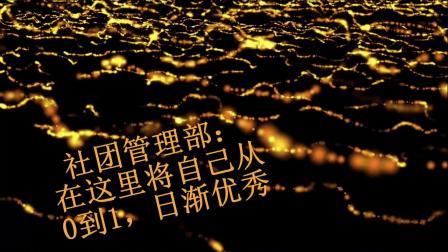 大学生社团联合会