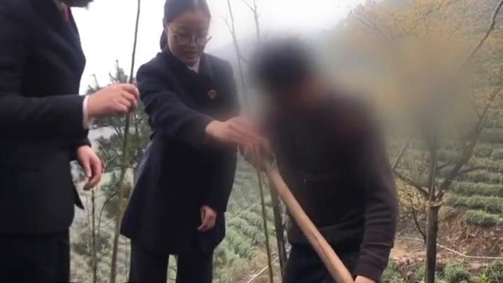 男子滥伐林木被罚每年补种200余株树苗!