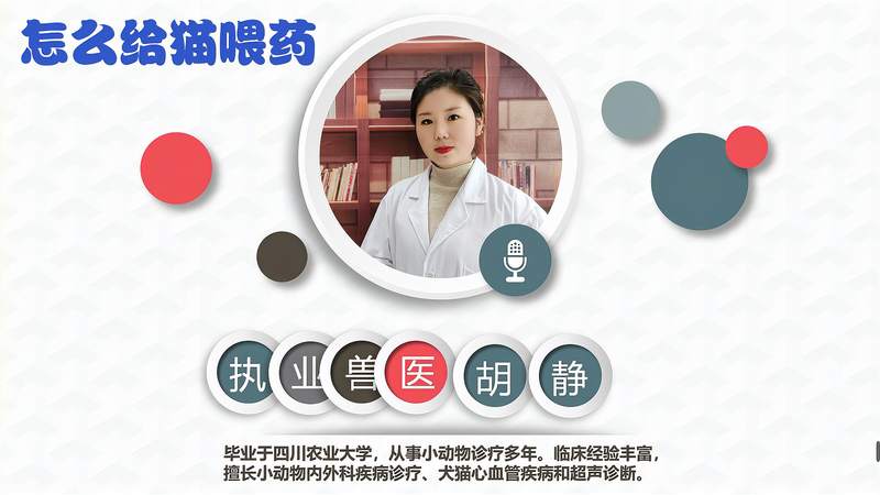 怎么给猫喂药,可以选择用喂药器吗