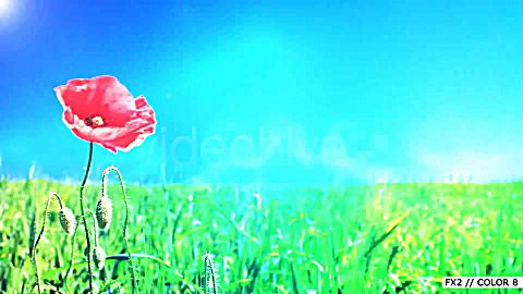 镜头闪光视频转场视频素材 Flash Light Transition Overlay Lense Pack