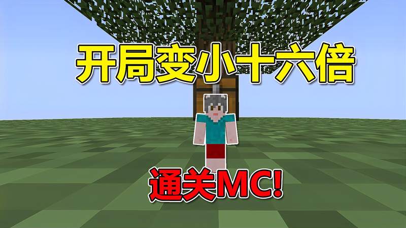 我的世界:开局被缩小十六倍?通关MC!