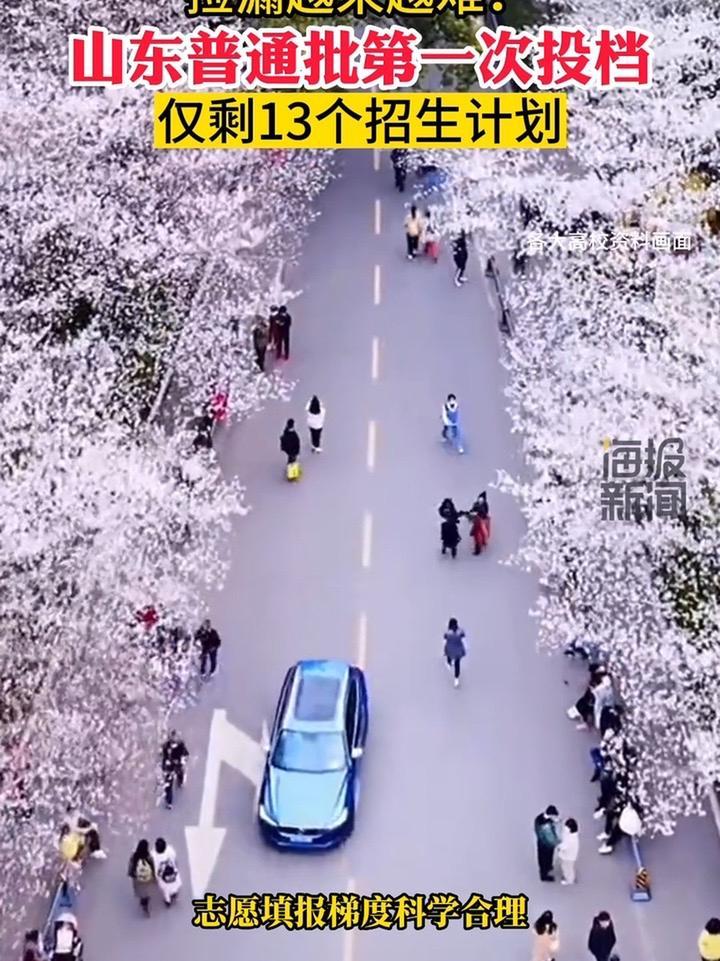 捡漏越来越难!山东普通批第一次投档仅剩13个招生计划