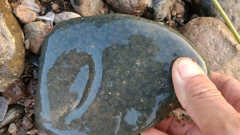 起个大早发现的宝贝,玻璃一样的质地,翡翠一样的色彩漂亮