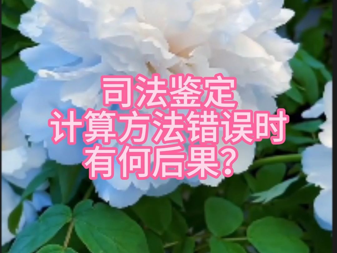 司法鉴定计算方法错误时有何后果?