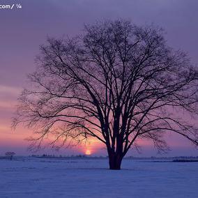 安如少年初如梦O 