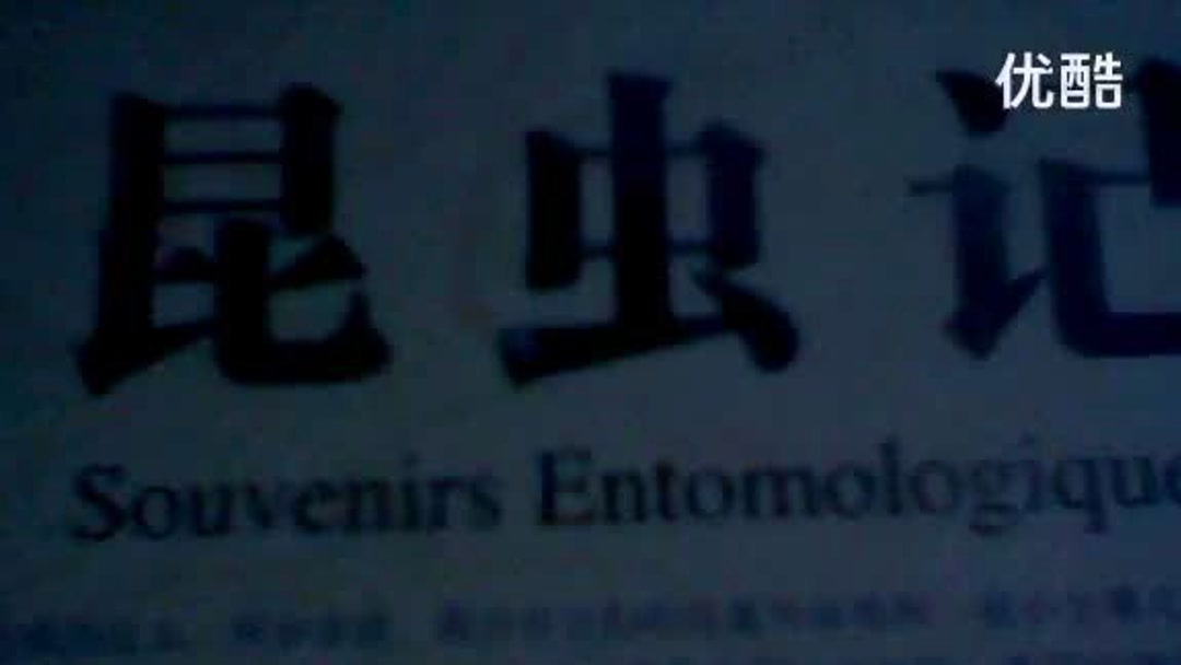 我的一本课外书